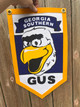Georgia Southern Banner