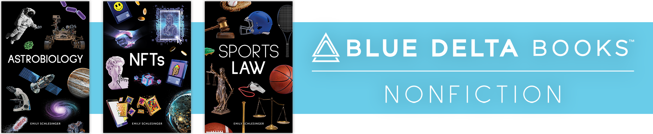 Shop by Series - Blue Delta Books - Saddleback Educational Publishing ...