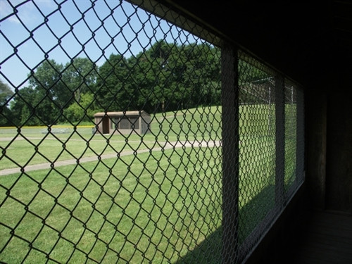 Baseball Dugout Sports Backdrop
