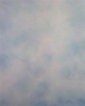 OM27D Single Digital Backdrop Download