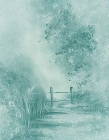 SW49 Scenic Photography Backdrop
