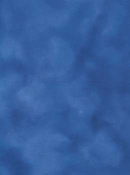 OM-0083 Old Masters Photography Muslin Backdrops