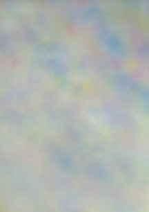 Pastel #2 Muslin Photography Backgrounds