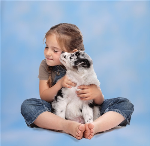Daydreams Muslin Photography Backdrop Photography Studio Background
