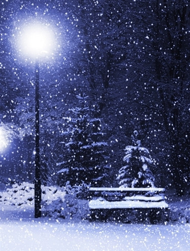 Night Holiday Snow Scenic Backdrop