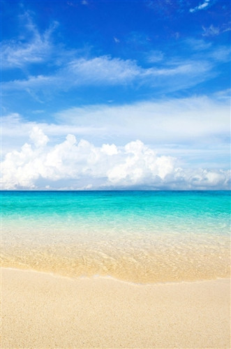 Beach Ocean Scenic Backdrop