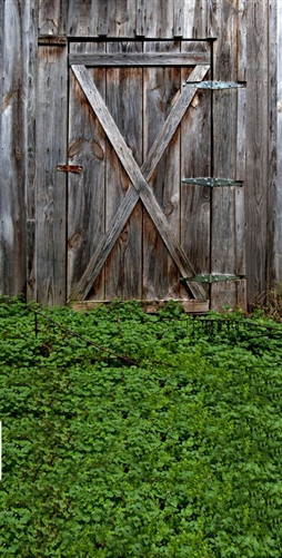 Grass and Barn Door Backdrop - Owens Originals Backdrops