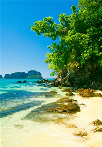 Beach Ocean Shoreline Scenic Backdrop