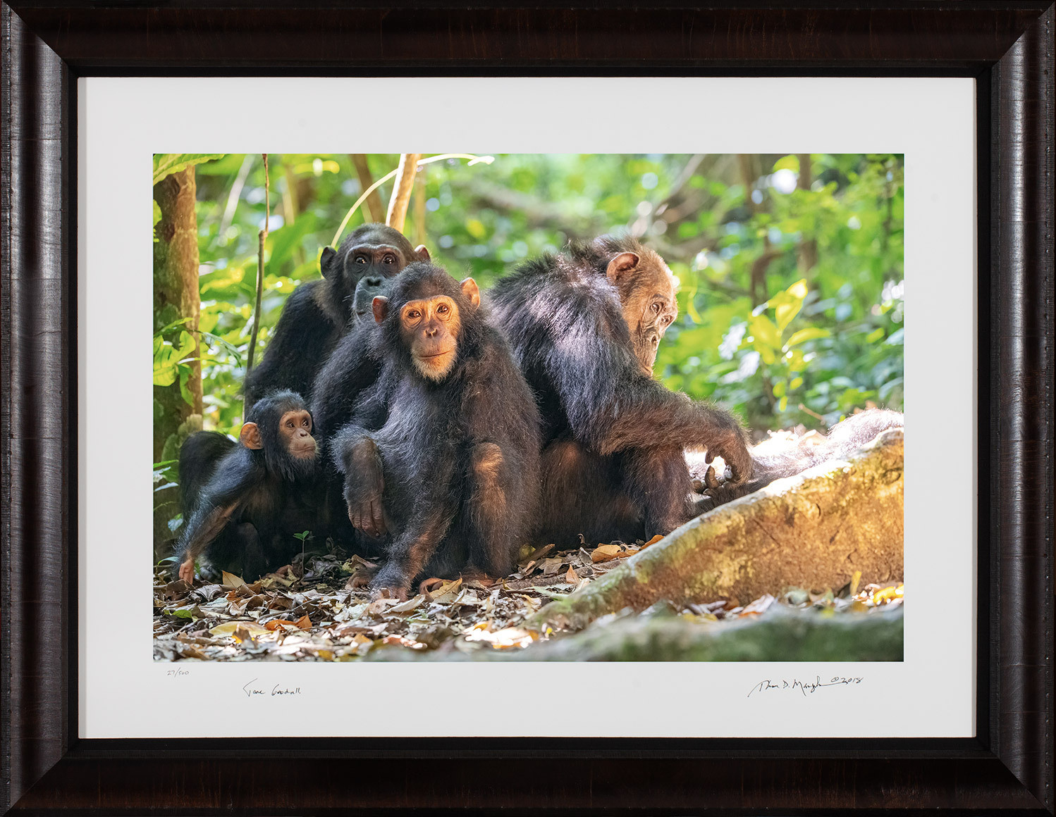 Hope Signature Series Limited Edition Conservation Prints