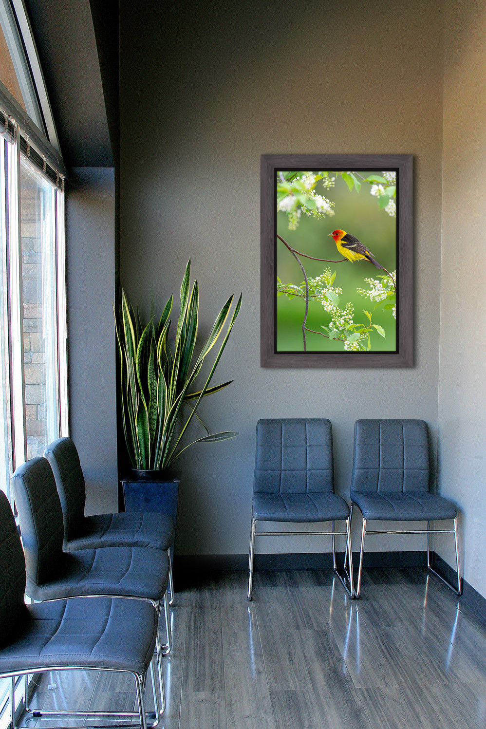 Among the Blossoms - Western Tanager: Limited Edition Wildlife ...