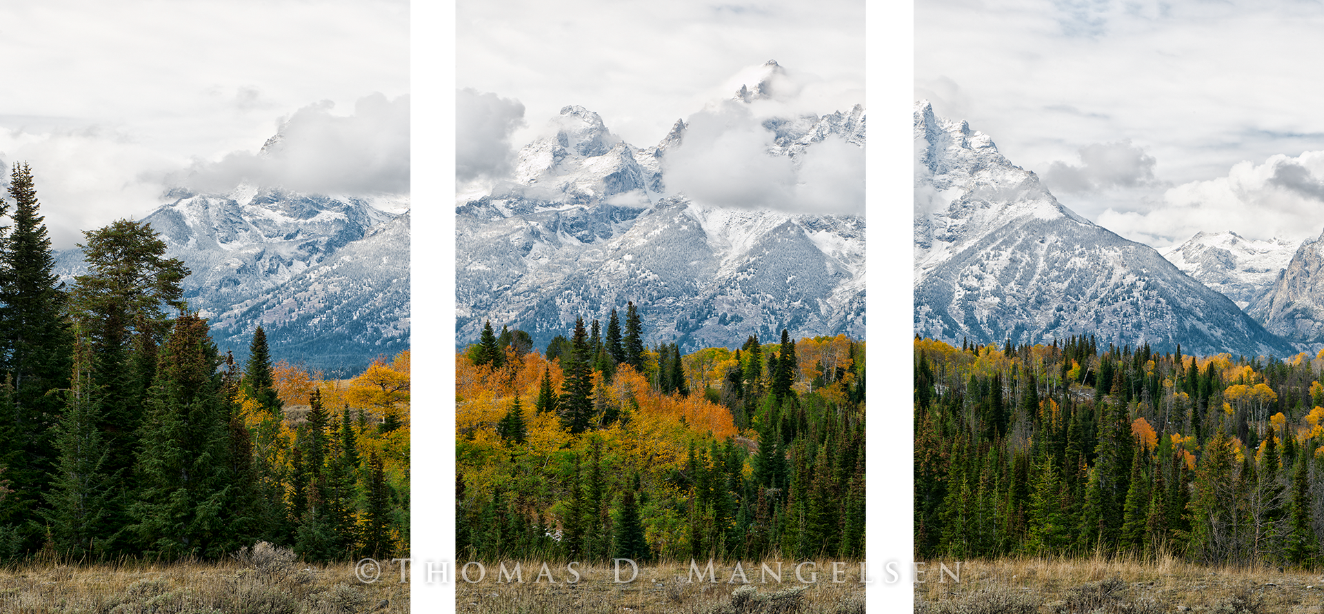 Teton Veil by Thomas D. Mangelsen