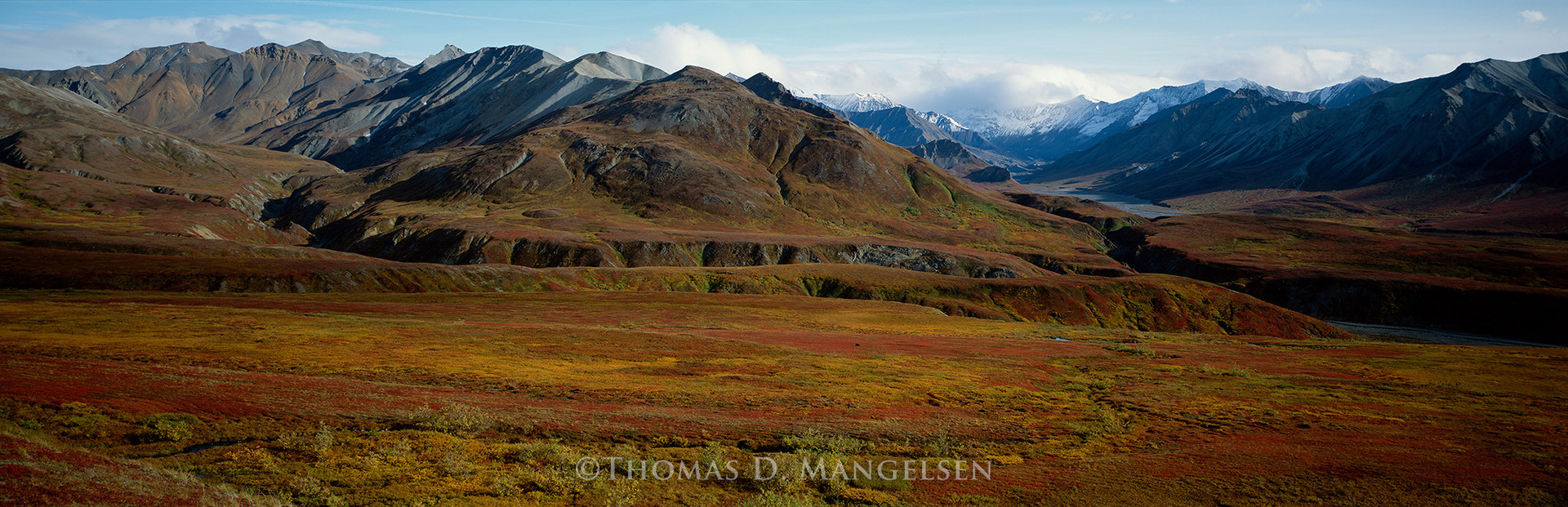 Below the Alaska Range by Thomas D. Mangelsen