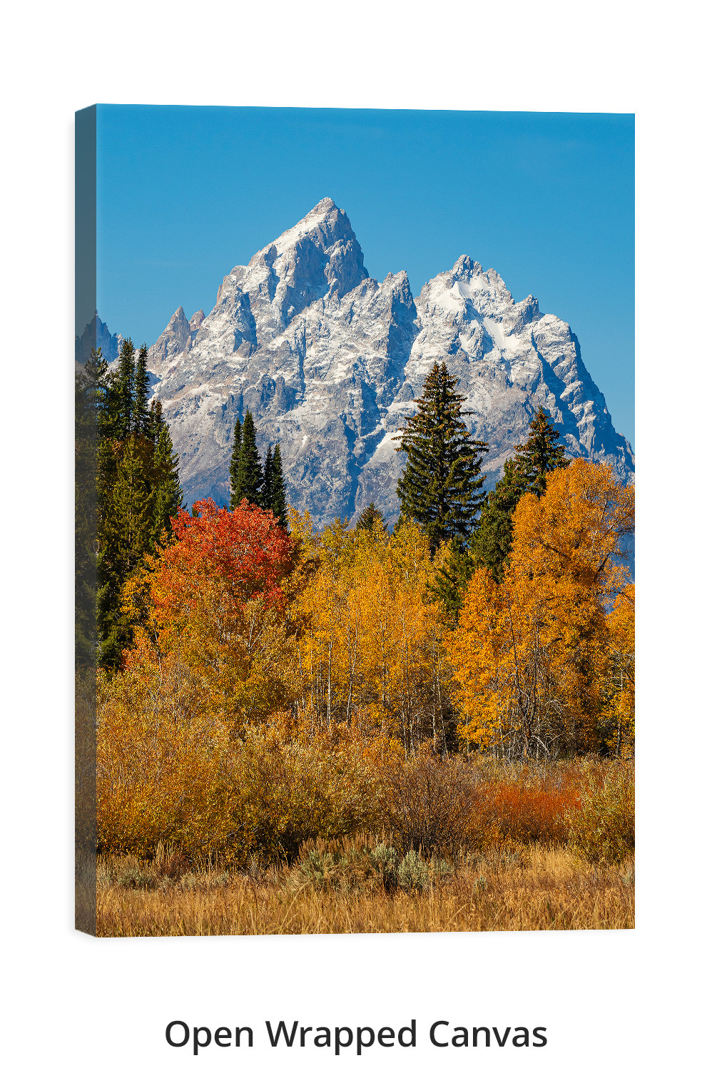 First Snows of September by Thomas D. Mangelsen