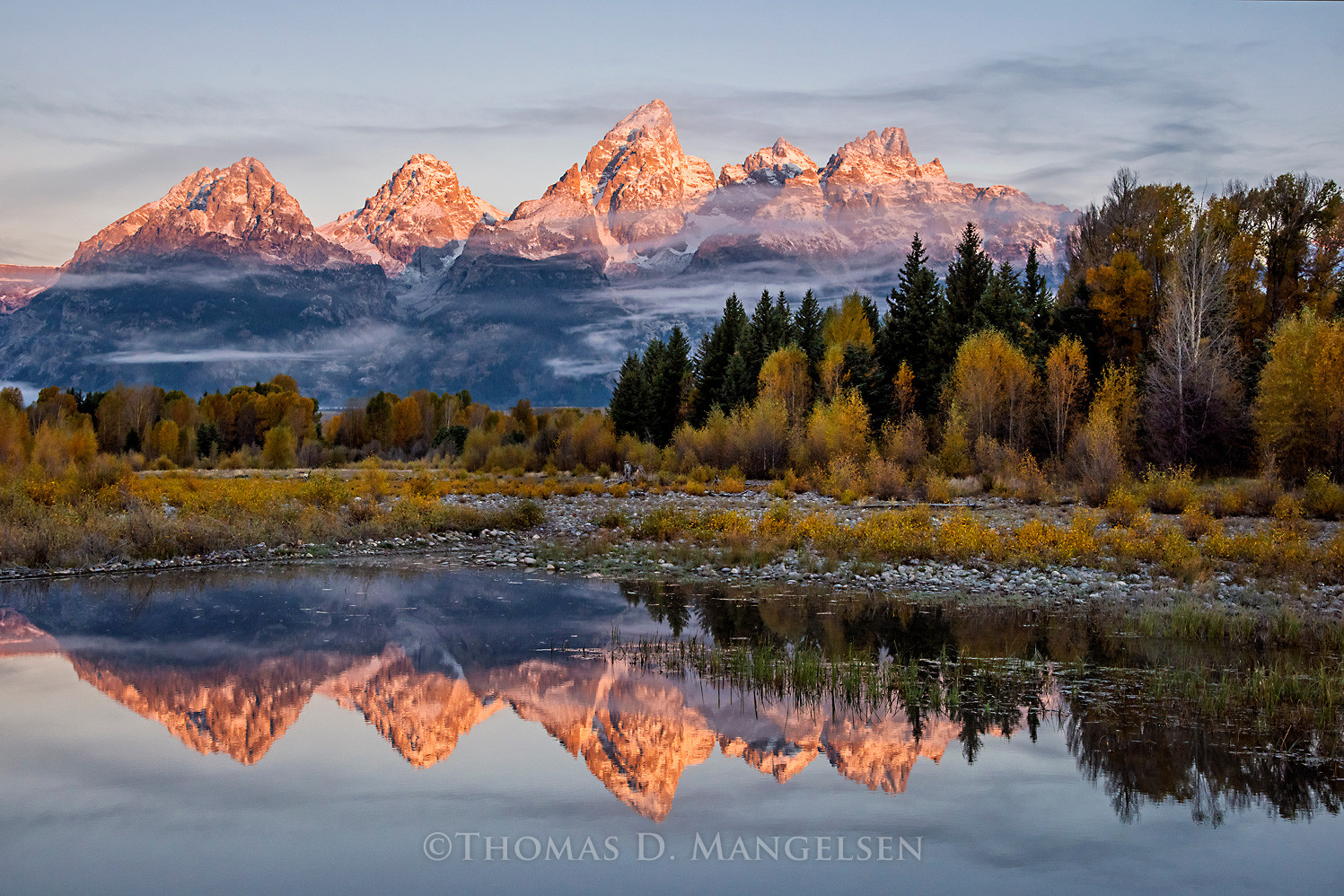 Teton Reflections by Thomas D. Mangelsen