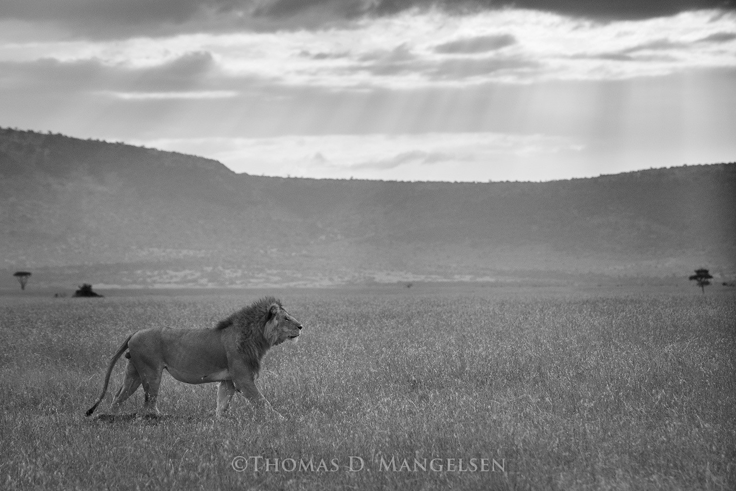 How the Art of Nature Inspires Awe - MANGELSEN—Images of Nature Gallery