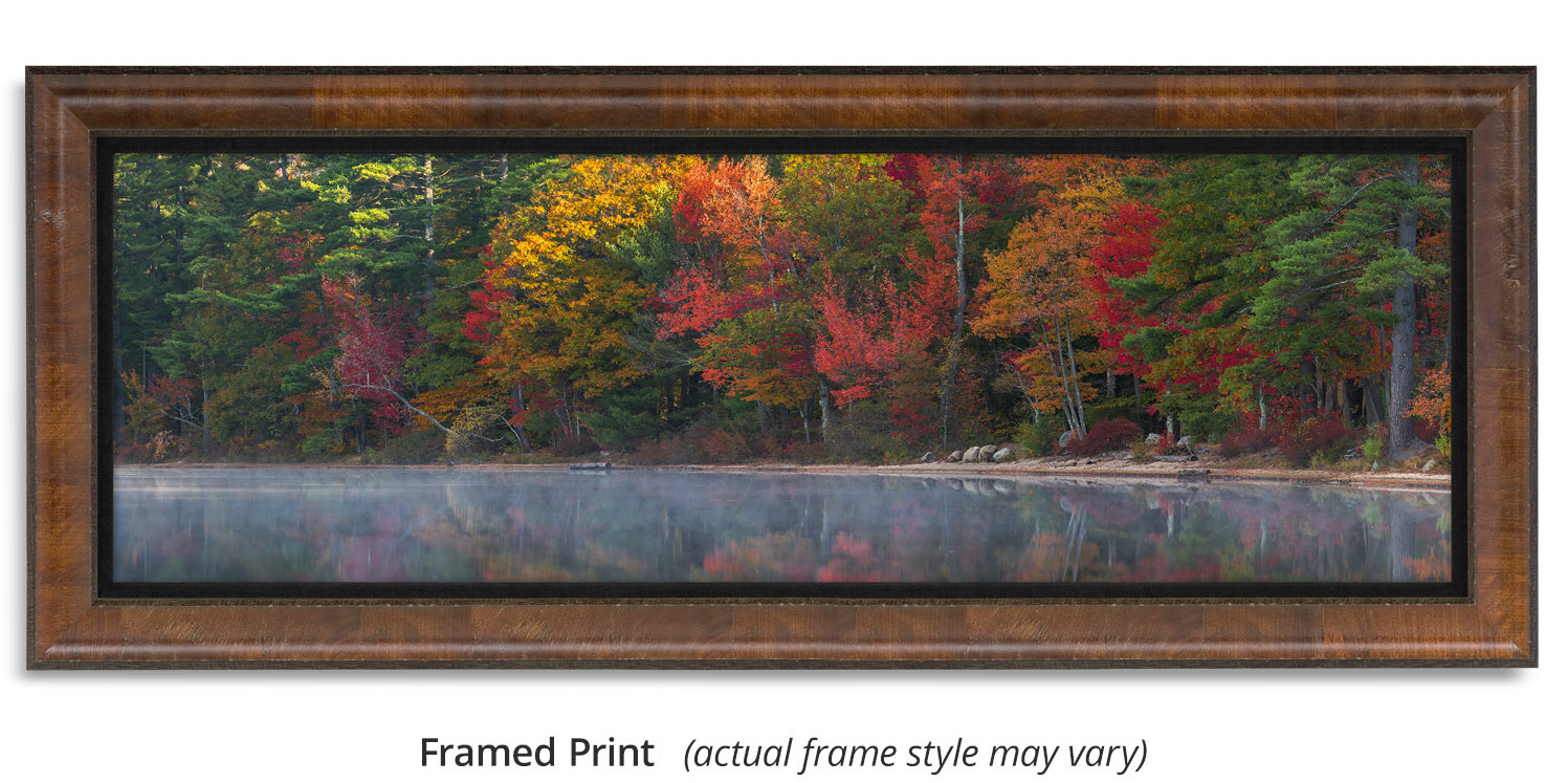 Colors of New England by Thomas D. Mangelsen