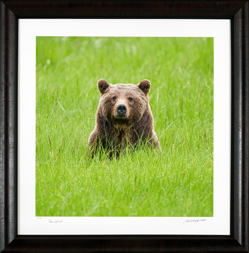 Hope Signature Series Limited Edition Conservation Prints