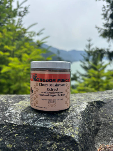 Kingdom Fungi Chaga Mushroom Extract Powder - Big Dog Little Dog Bakery