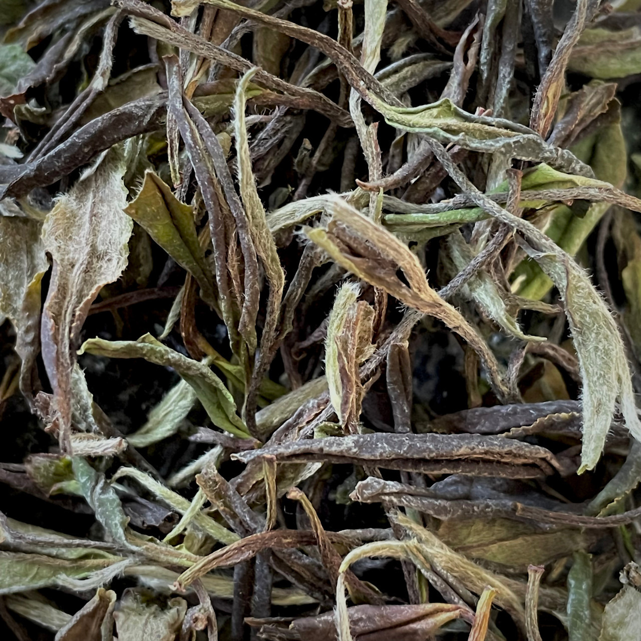 West China Tea | Artisan and Farm Direct Chinese Tea & Teaware