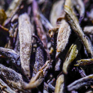 10g Jun Shan Yin Zhen 君山銀針 - West China Tea