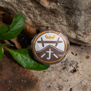 Ancient Tree Black Rain Shu Pu'er Tea Coin | West China Tea