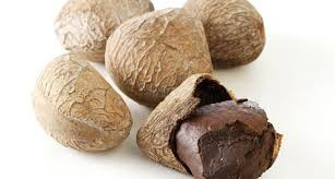 Kluwak (kluwek) Black Nut for Indonesian Cuisine, 100 Gram - UD Jawa ...