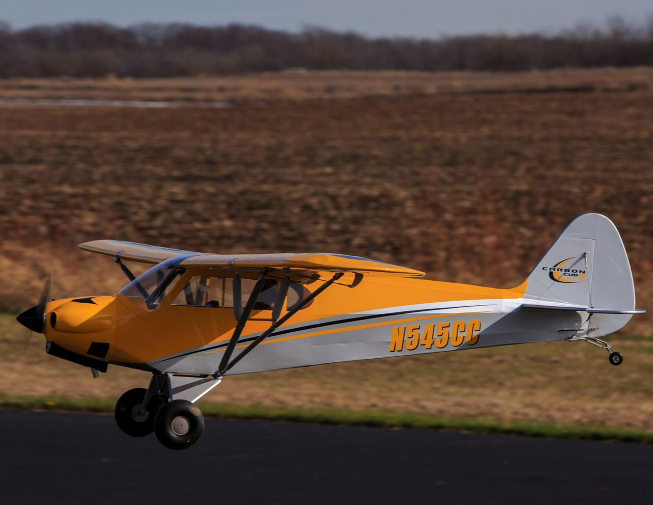 Hangar 9 Carbon Cub 15cc ARF