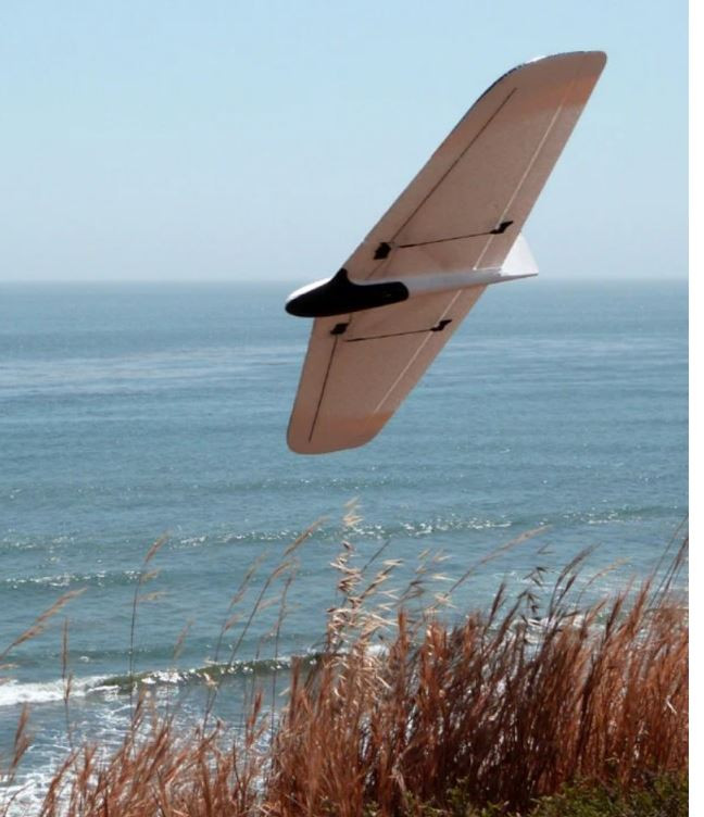 Dream-Flight Weasel-TREK 0.9m Aerobatic Slope Soarer Kit