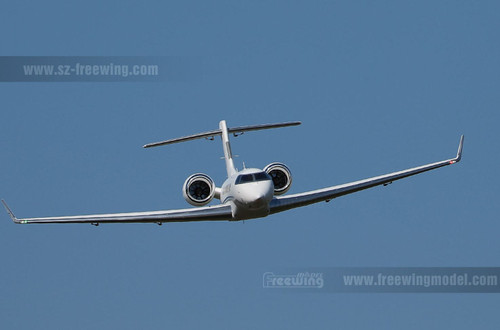Freewing FJ31811AP Private Business Twin 70mm EDF Jet