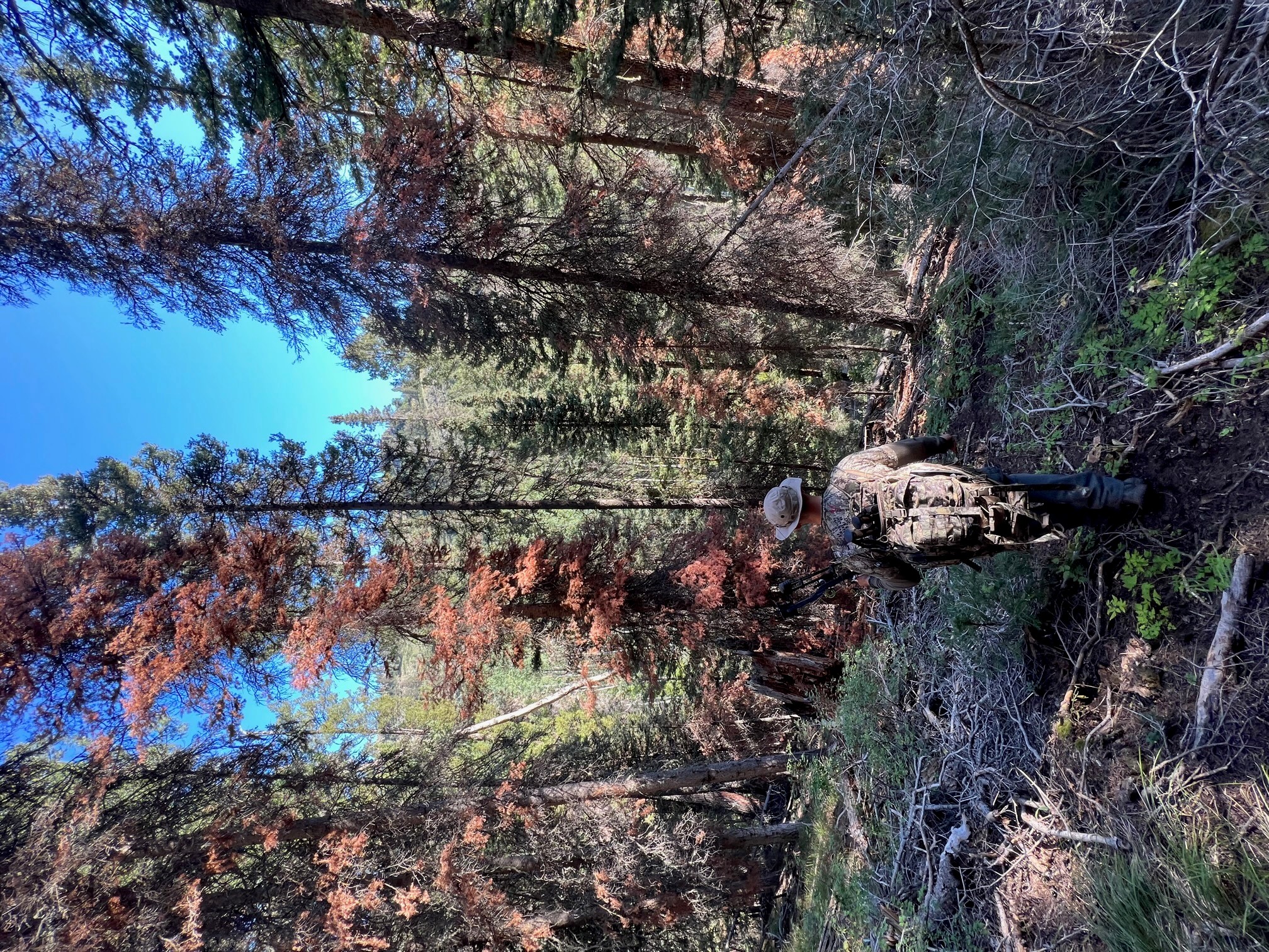 Top Tips for Backcountry Hunting with the BackCountry Lite Mesa Tipi ...