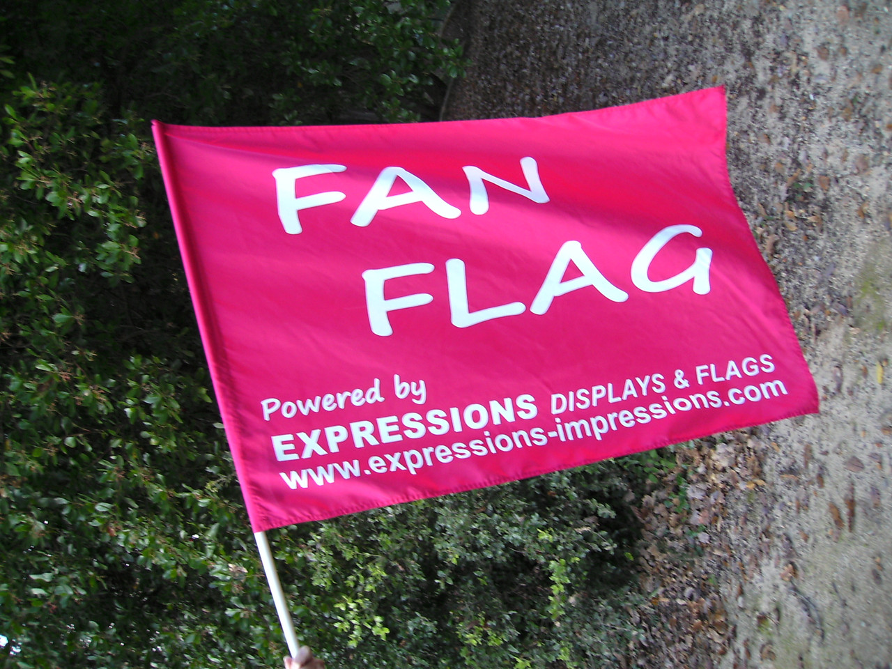 Stick & Fan Flags | Express-Impress