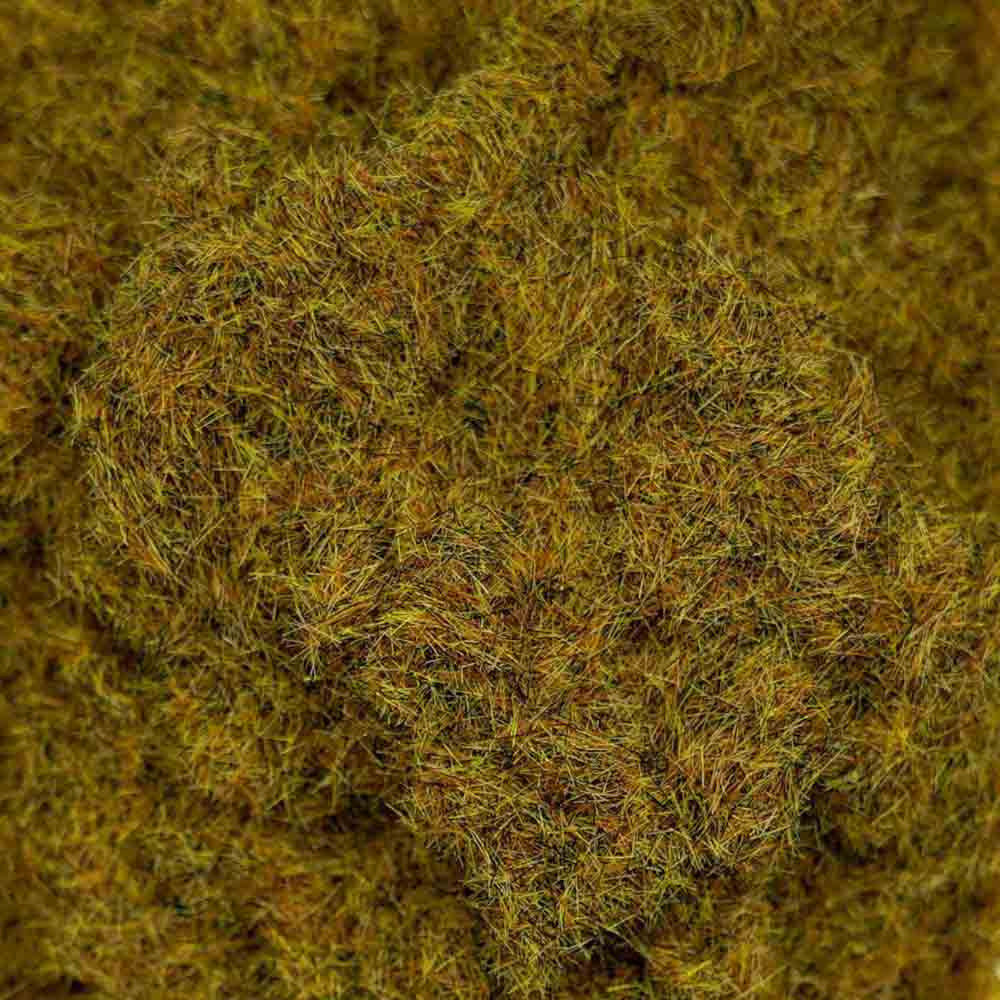 2mm Static Grass Patchy - WWGaming