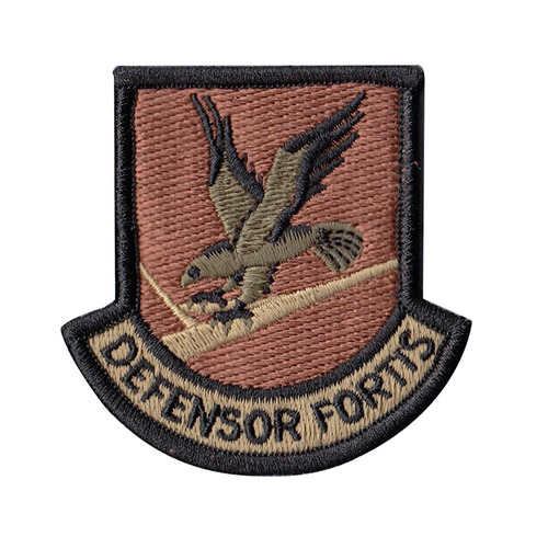 Defensor Fortis Flash - Enlisted - OCP (w/ Hook Back) Security Forces ...