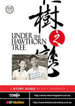 Under the Hawthorn Tree - The Education Shop