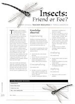 Insects: Friend or Foe? - The Education Shop