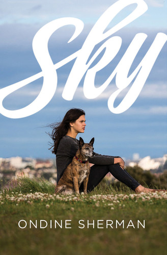 Sky - The Education Shop
