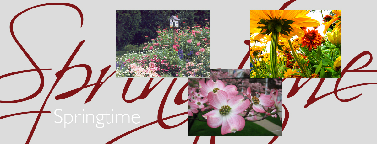 Realtor & Mortgage Broker, Springtime, and Keep In Touch Greeting Cards ...
