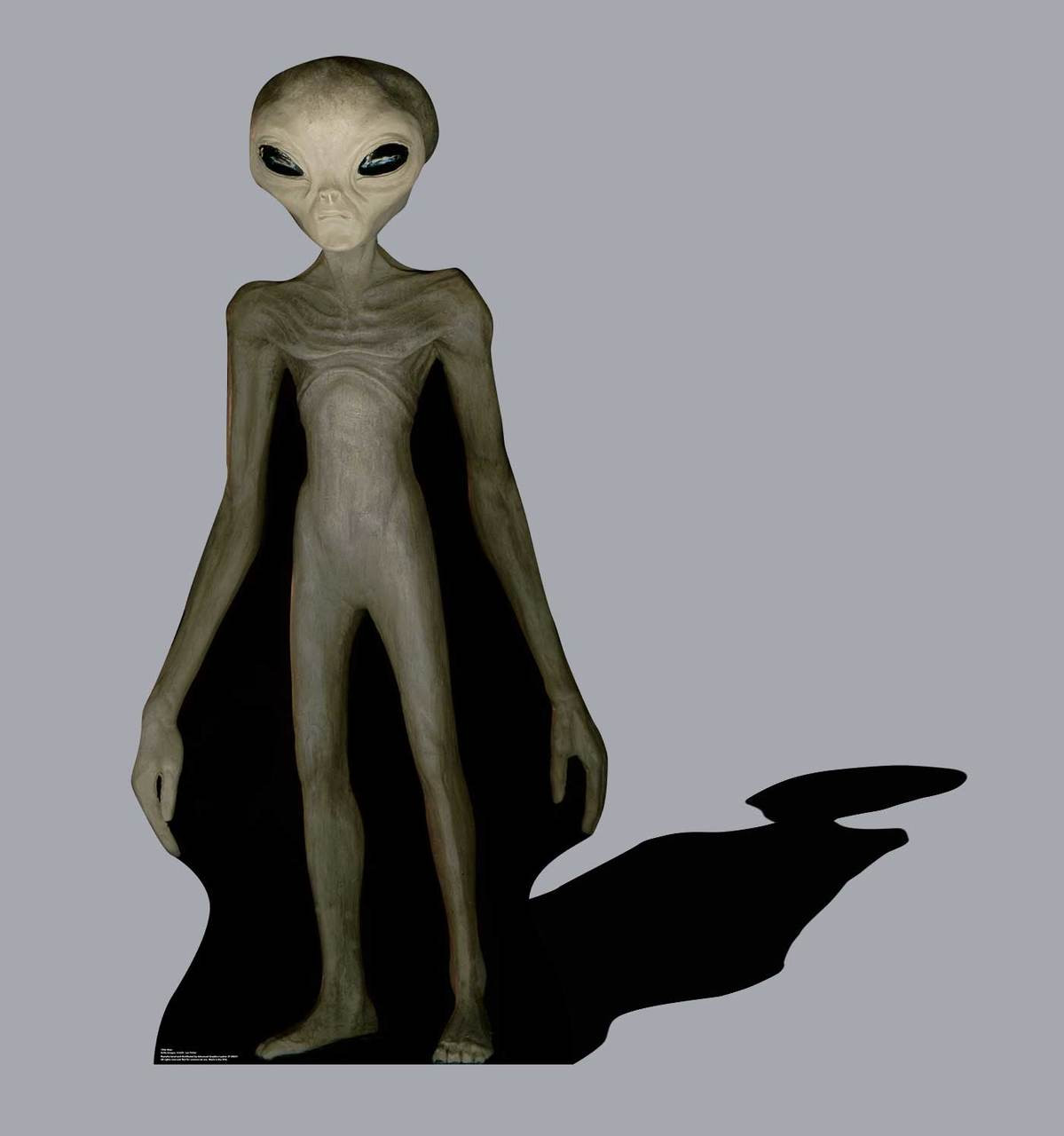 Life-size Alien Cardboard Standup |Cardboard Cutout