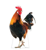 Life-Size Rooster Cardboard Cutout Standee