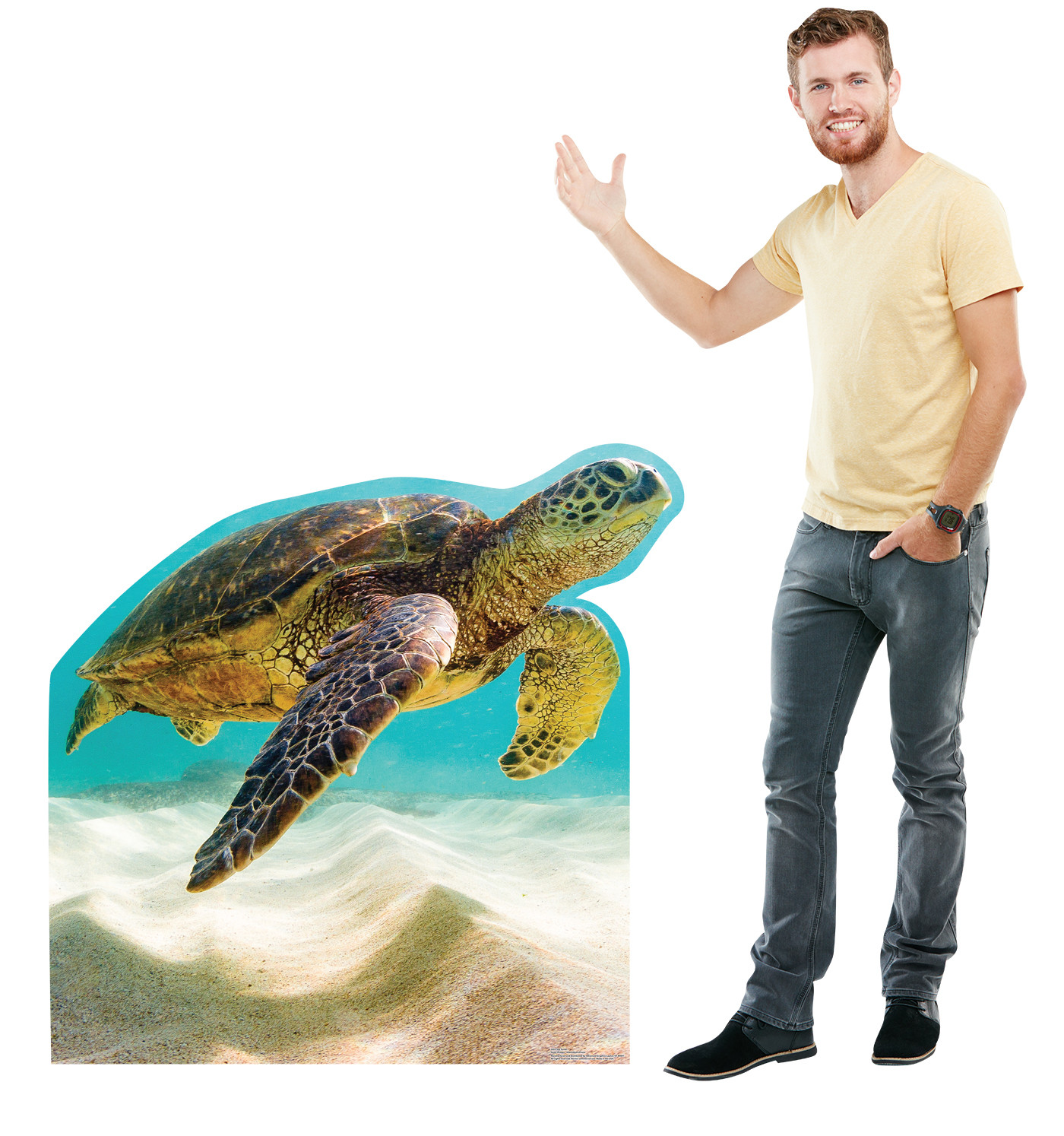 Sea Turtle Cardboard Cutout Cardboard Standee | 3053