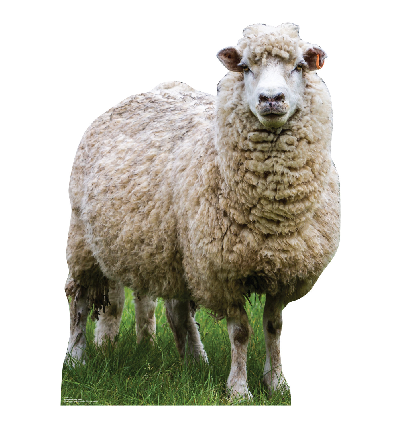 Life-Size Wooly White Sheep Cardboard Cutout