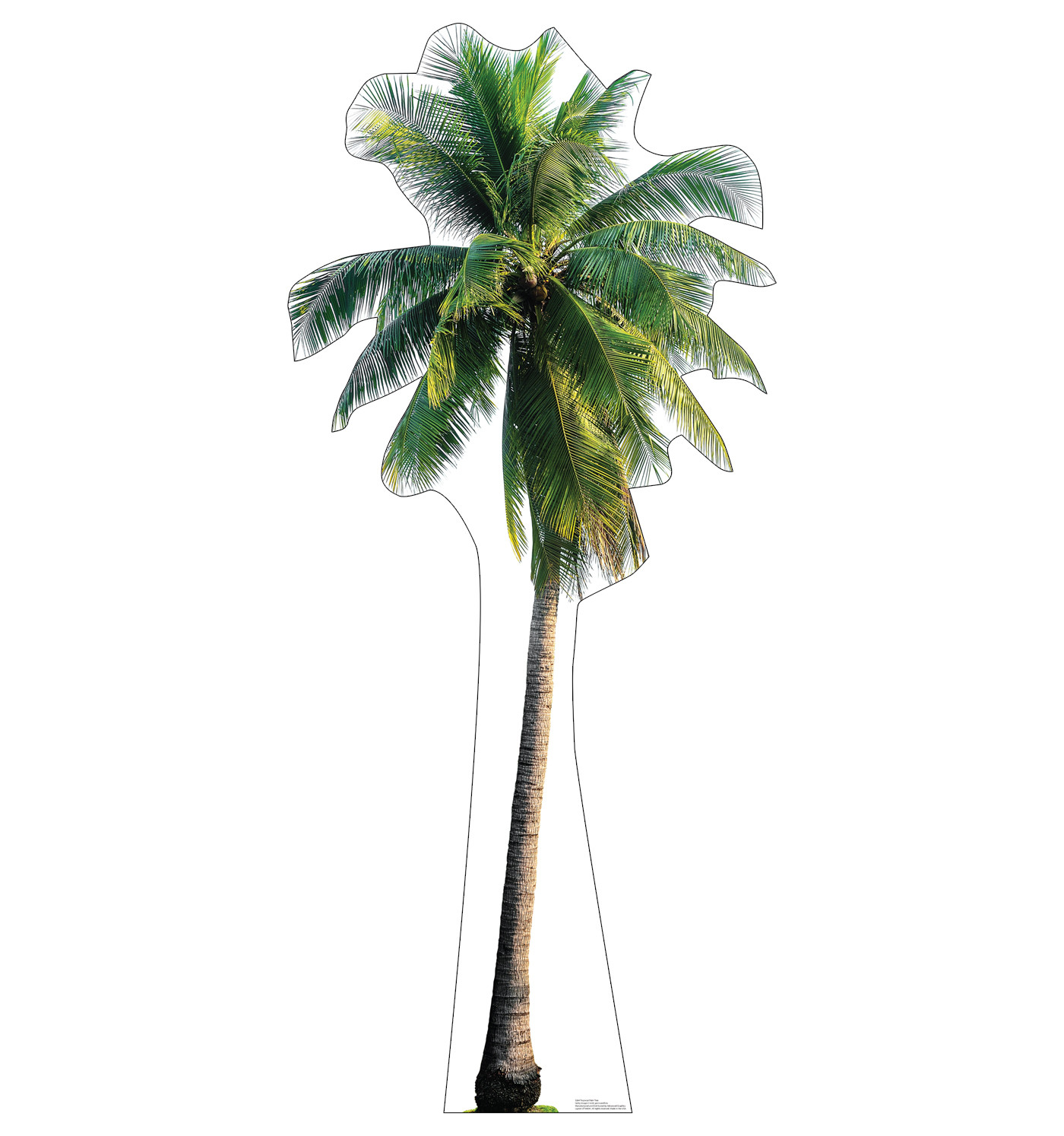 Tropical Palm Tree Life-Size Cardboard Cutout