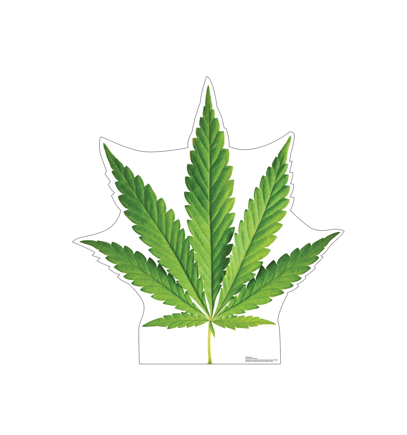 Cannabis Leaf Cardboard Cutout Standee | 3054