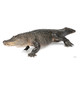 Life-size American Alligator Cardboard Standup | Cardboard Cutout