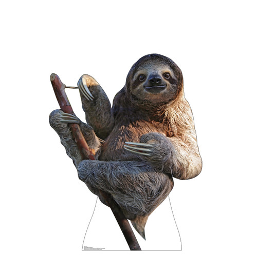 Life-size Cardboard Sloth Cutout Standee | 3007