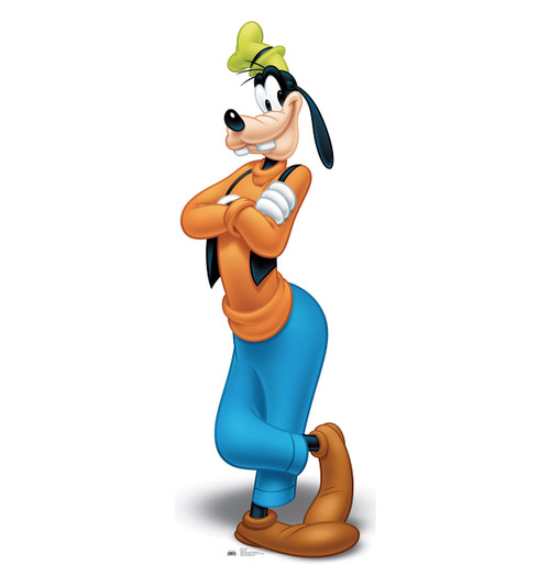 Mickey mouse and goofy store