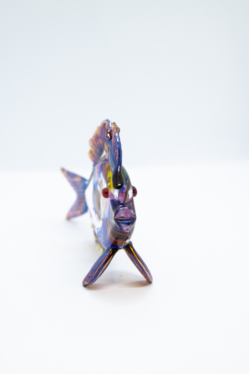 Skipjack Fish - The Gallery