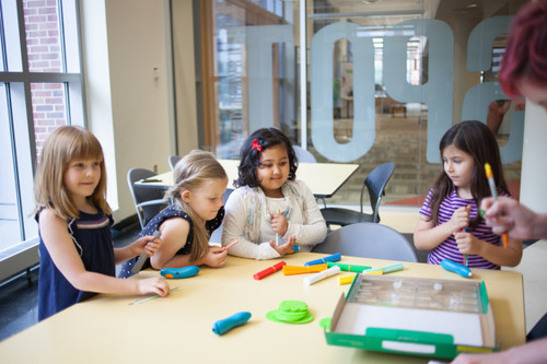 Intermediate Level Basic STEAM/STEM Kit - HamiltonBuhl