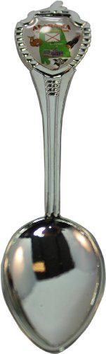 Spoons, Mini Spoons, Collectible Spoons, Souvenir Spoon, State spoons