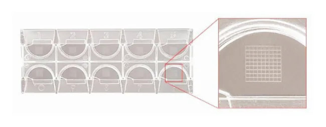 KOVA® Plastics Slide II With Counting Grids, Four-Chambered Slides, 100 ...